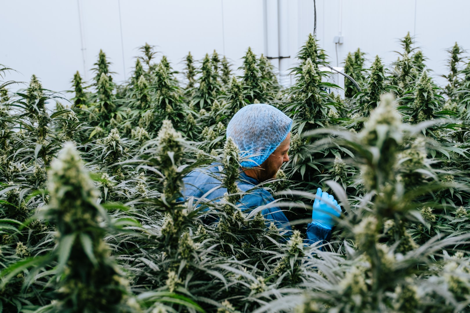 Facilities - PlantResearch